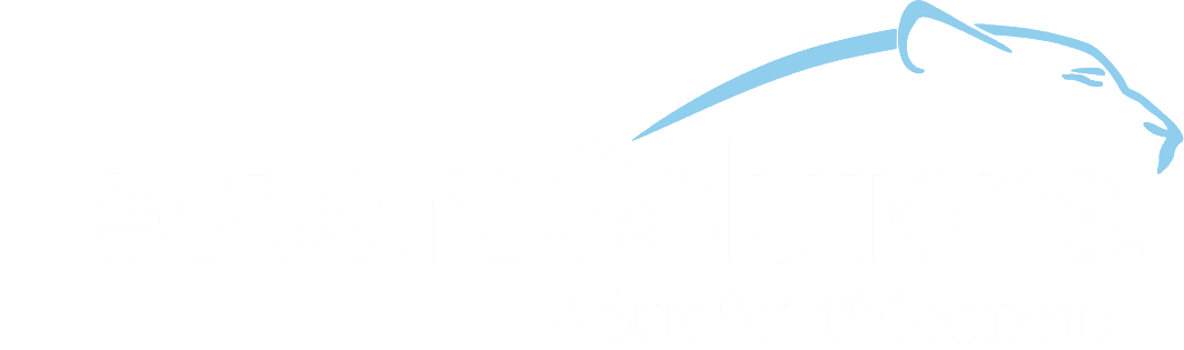 Leopard Solutions vs. Basic Data - SurePoint Legal Insights